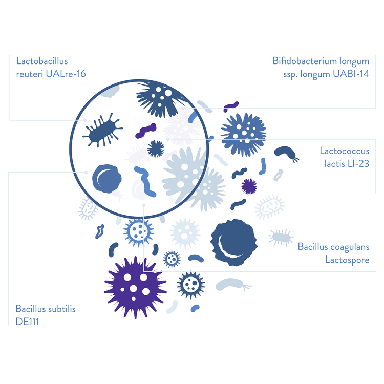 Multi-Strain Probiotic | InnovixLabs